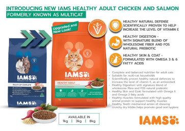 IAMS Adult Chicken & Salmon Cat Food - Dog Blast